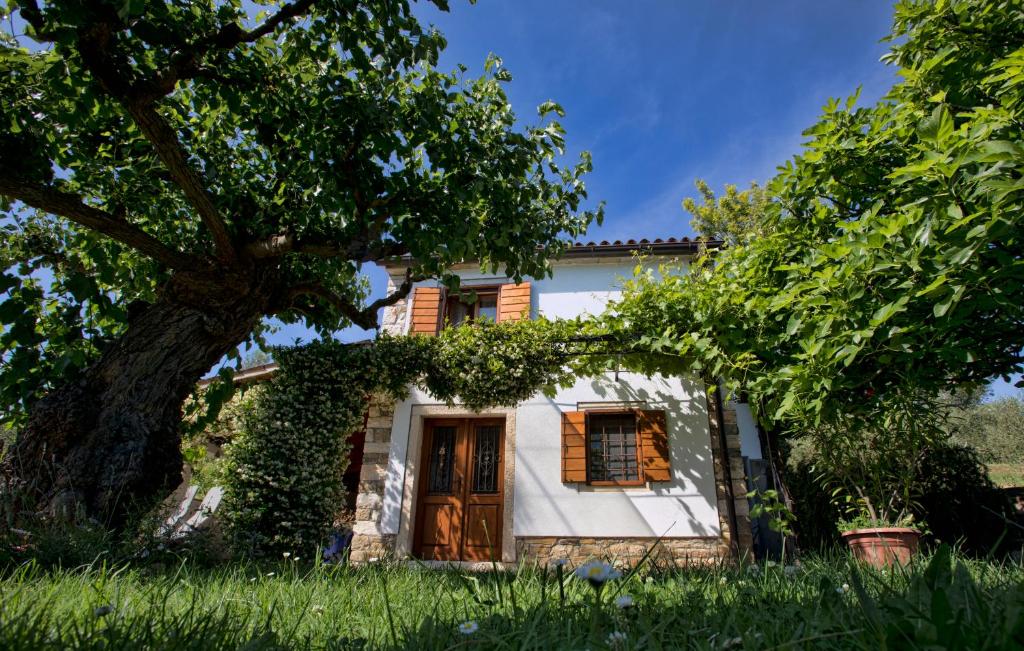 Lovely House with View Over Salt Pans TIMOR, Sečovlje (updated prices 2026)