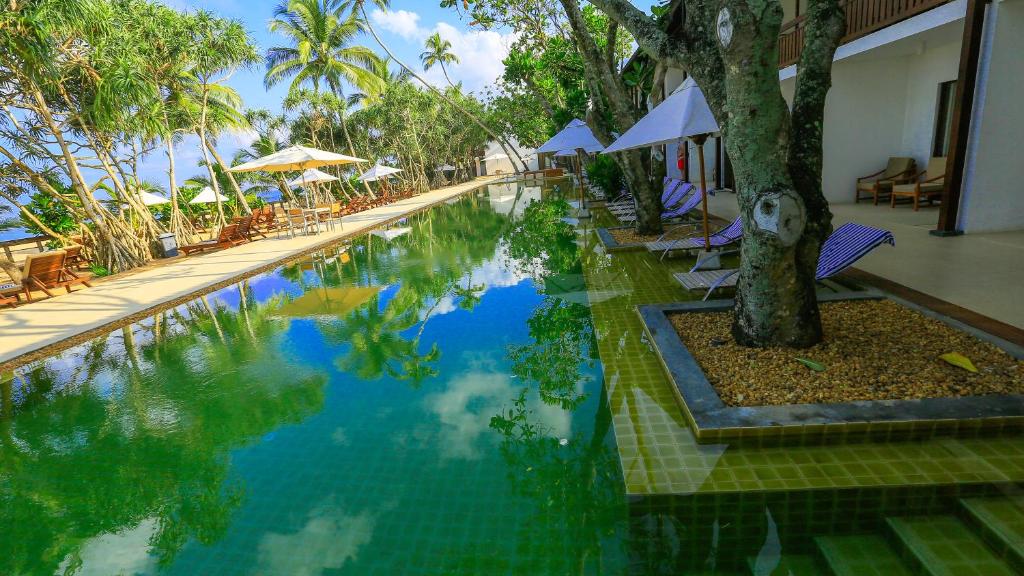 Pandanus Beach Resort & Spa, Bentota (updated prices 2025)