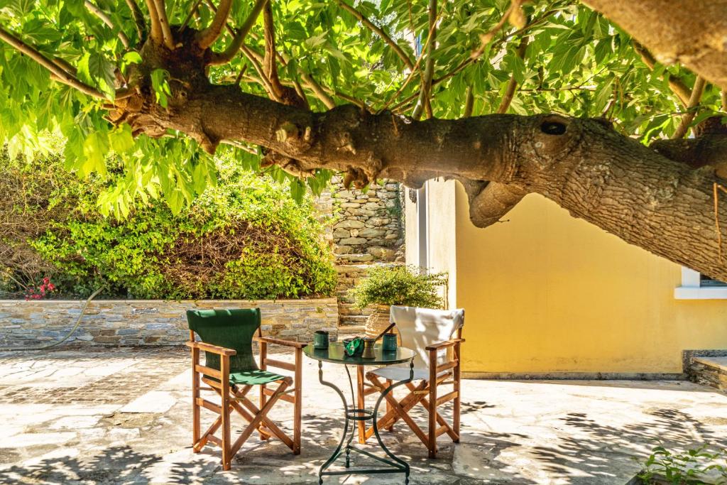 The Yellow Getaway - Next to Pithara Waterfalls, Apoíkia (aktualisierte ...