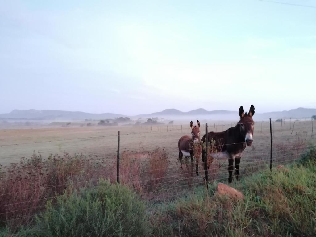 Rusthof Accommodation, Gansbaai – Updated 2023 Prices