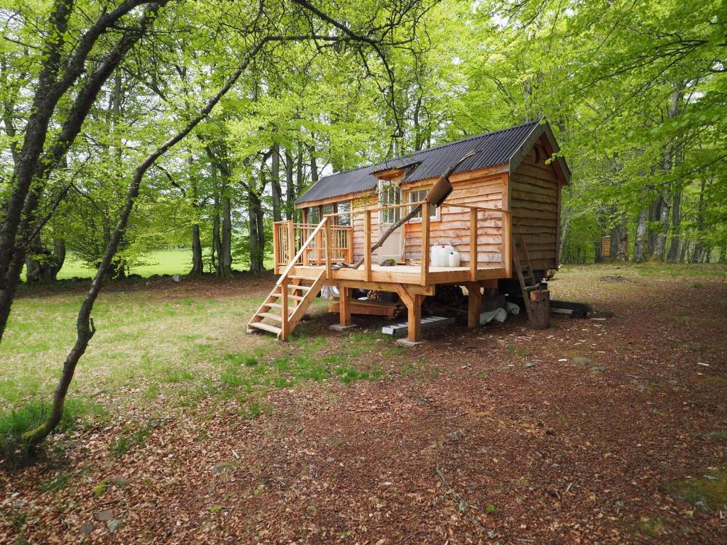 Bamff Ecotourism, Alyth (updated prices 2025)