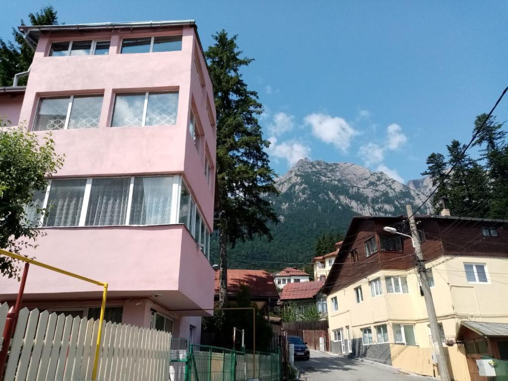 Vila Danlavi Busteni, Buşteni (updated prices 2025)