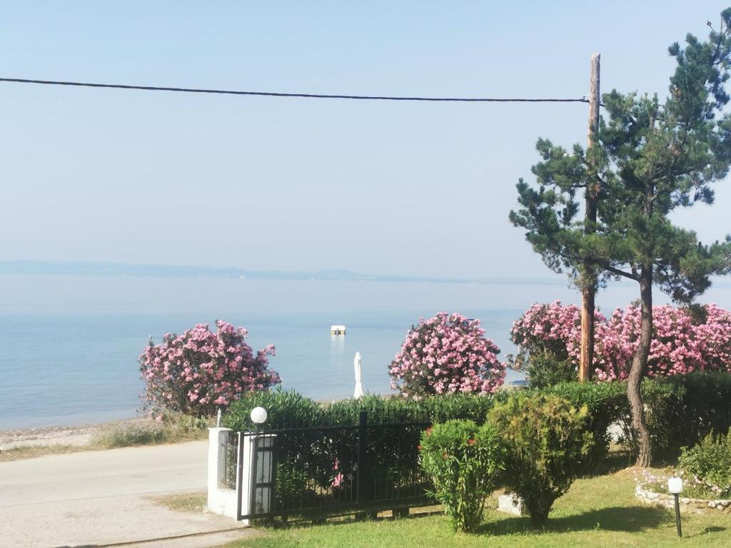 Metamorphosis - Halkidiki Apartment on the beach, Metamórfosi (tarifs ...