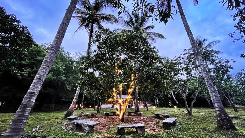 Commune18 Spa Resorts, Chikmagalūr (updated prices 2025)