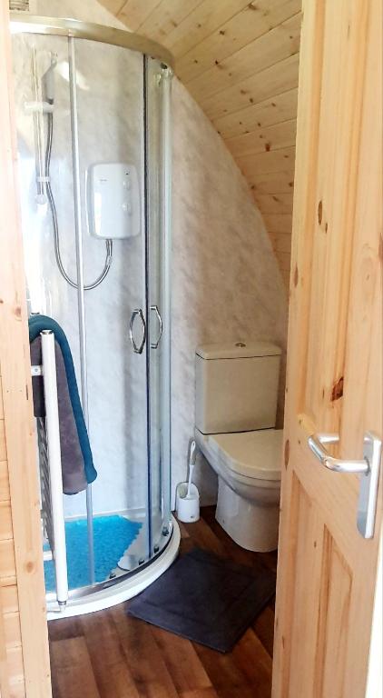 The Pod at Hollingwell House - Glamping NC500 Edderton in Balblair