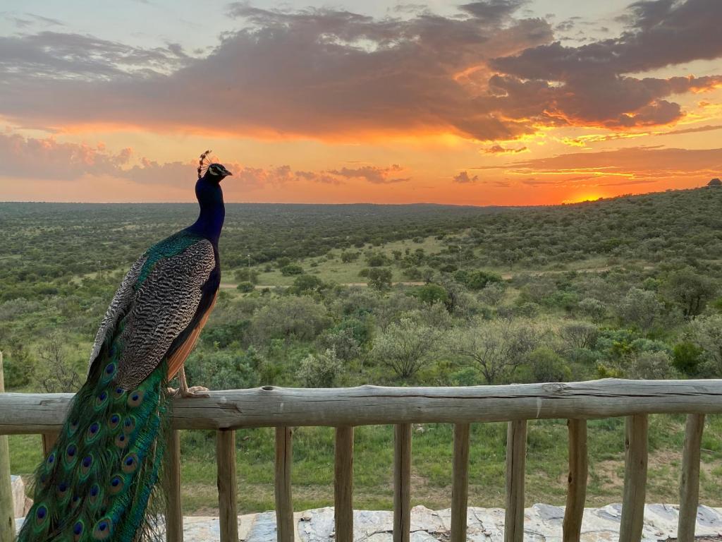 Big Valley Game Lodge, Lobatse (updated prices 2025)