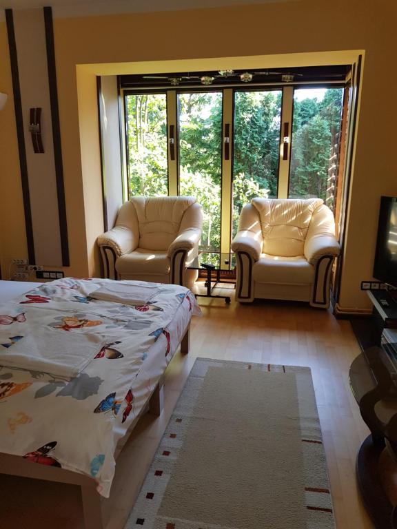 Apartament 1 Central - Târgu-mureş
