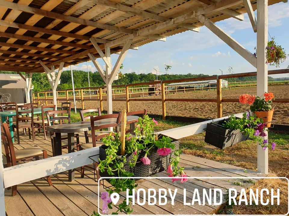 Hobby Land Ranch Horse's barn guesthouse, Găneasa (updated prices 2024)