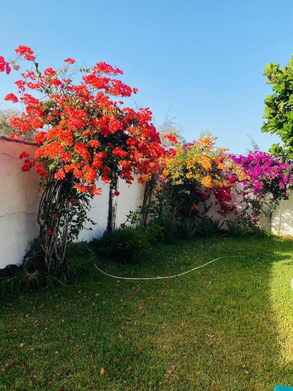 Finca Gerardo Miraflor, La Playa Calera (updated prices 2025)