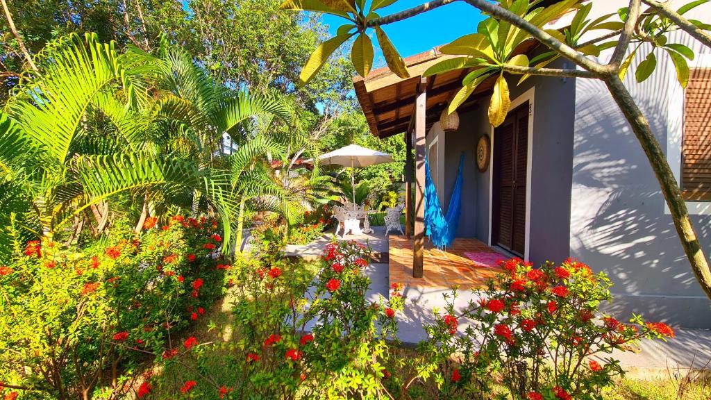 Pipa Style 3, Pipa – Aktualisierte Preise für 2023