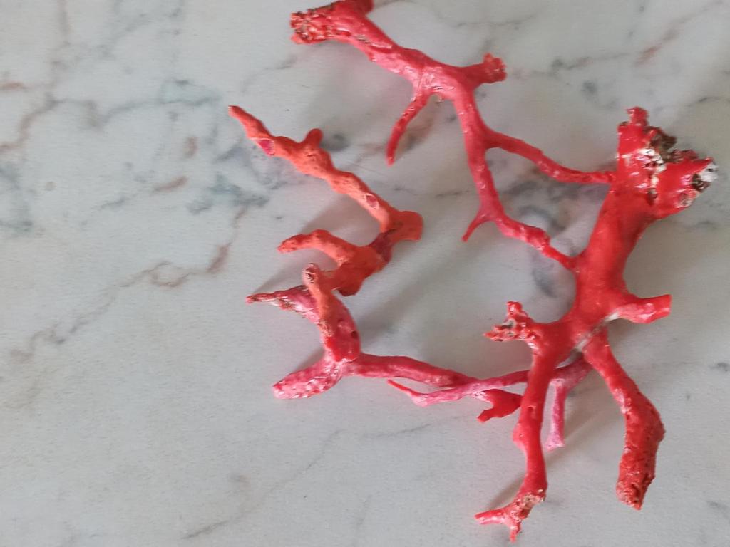 IL CORALLO di SANTA LUCIA, Santa Lucia (updated prices 2025)