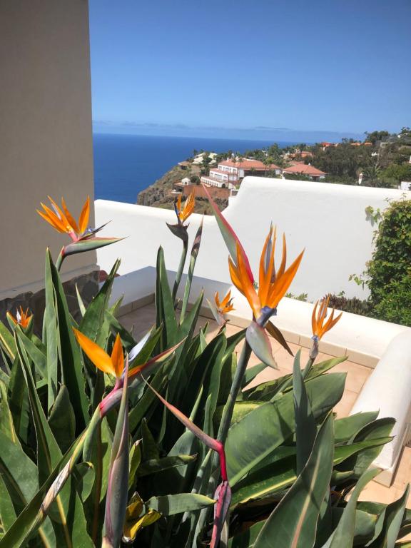 VILLA HIBISCUS - Tenerife