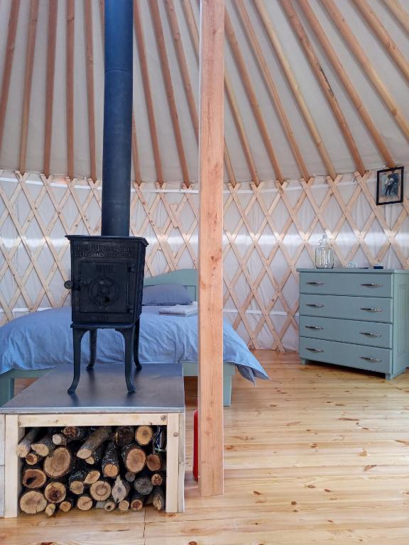 Modern Mongolian Yurt