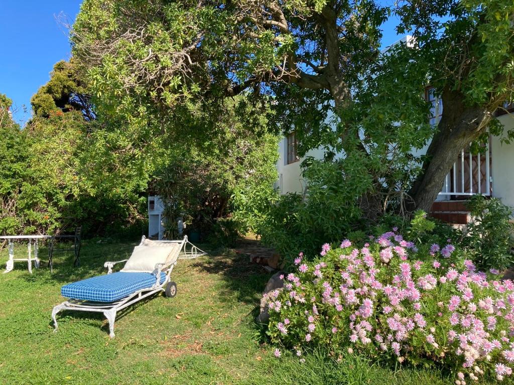 Bosky Dell on Boulders Beach, Simonʼs Town (updated prices 2025)