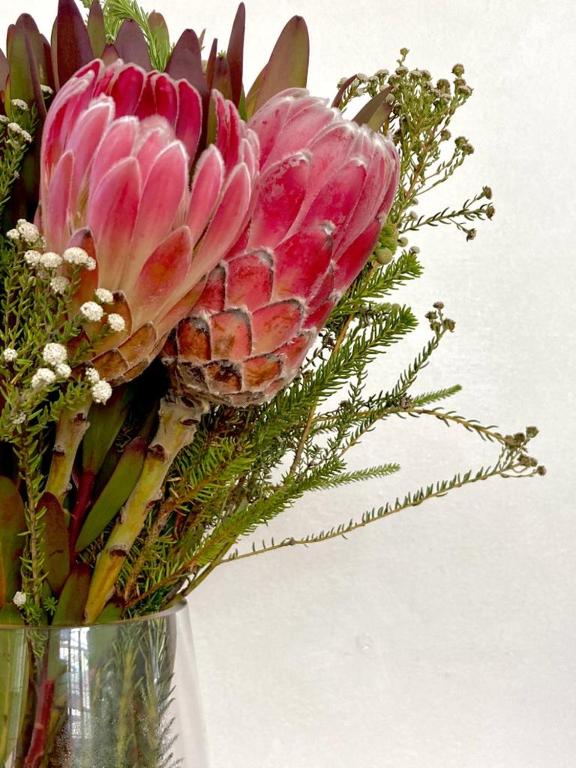 Bosky Dell on Boulders Beach, Simonʼs Town (updated prices 2025)