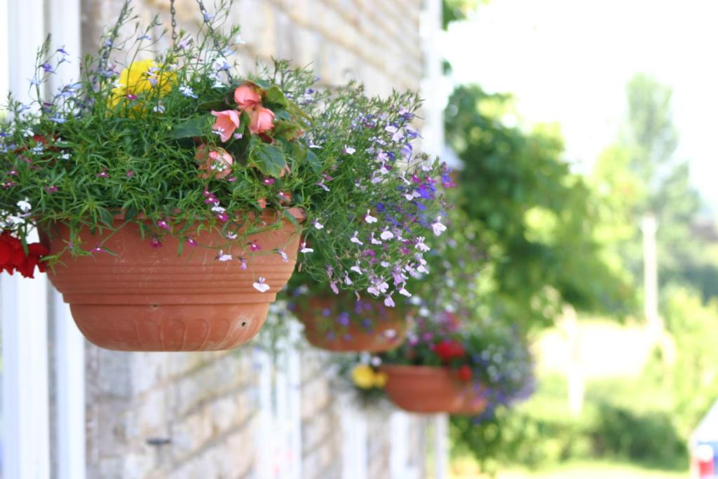 Crossways, Wells (updated prices 2025)