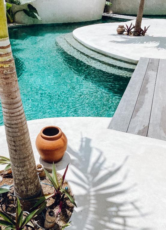 Beyond Bayou, Seminyak (updated prices 2025)