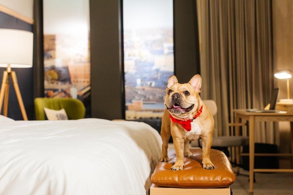 Jasper Hotel, Fargo (updated prices 2025)