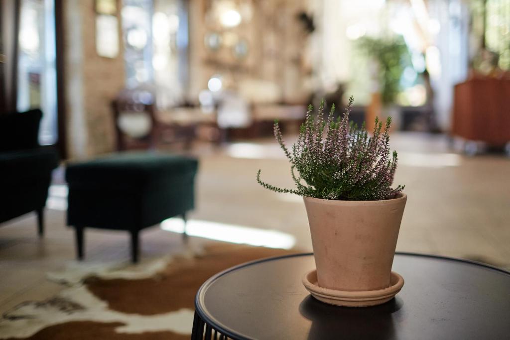 Tercia Hubertus Panzió, Sopron (updated prices 2025)