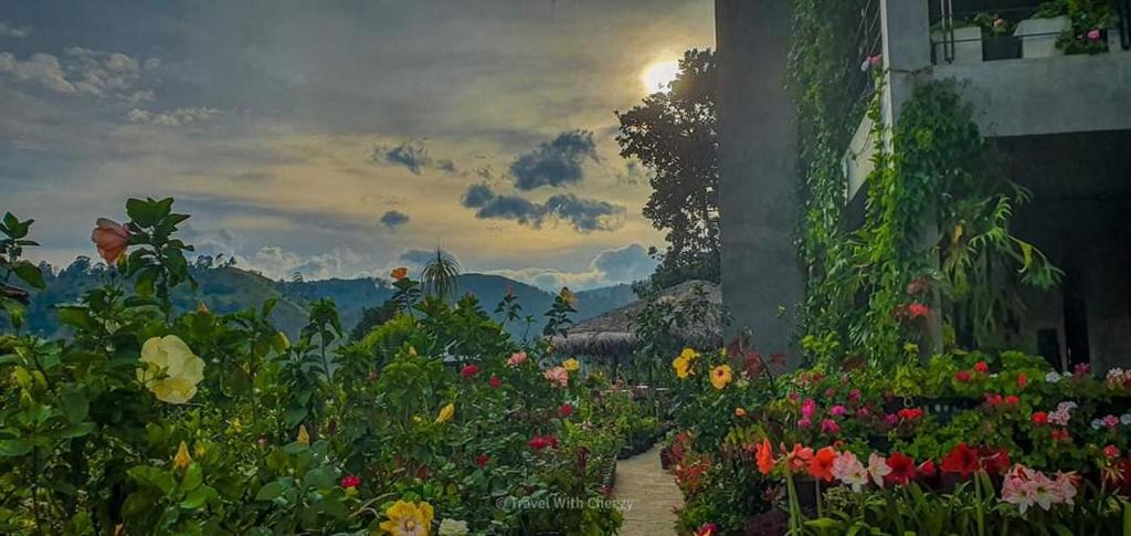 Ella Flower Garden Resort, Ella (updated prices 2025)