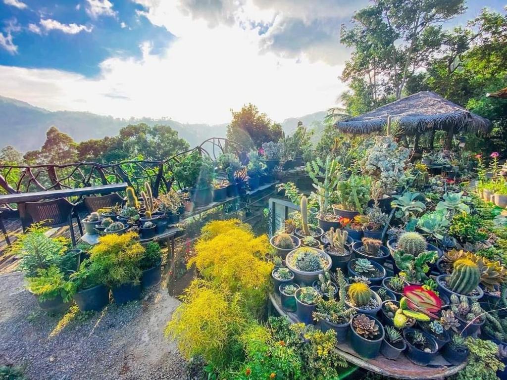 Ella Flower Garden Resort, Ella (updated prices 2025)