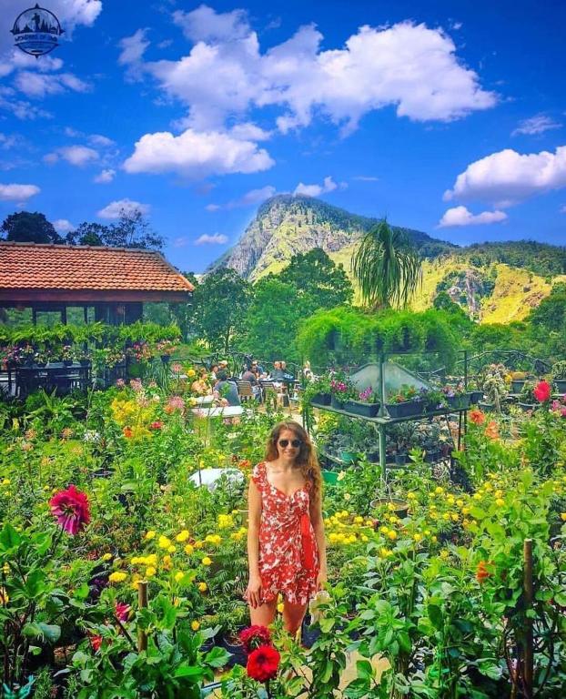 Ella Flower Garden Resort, Ella (updated prices 2025)