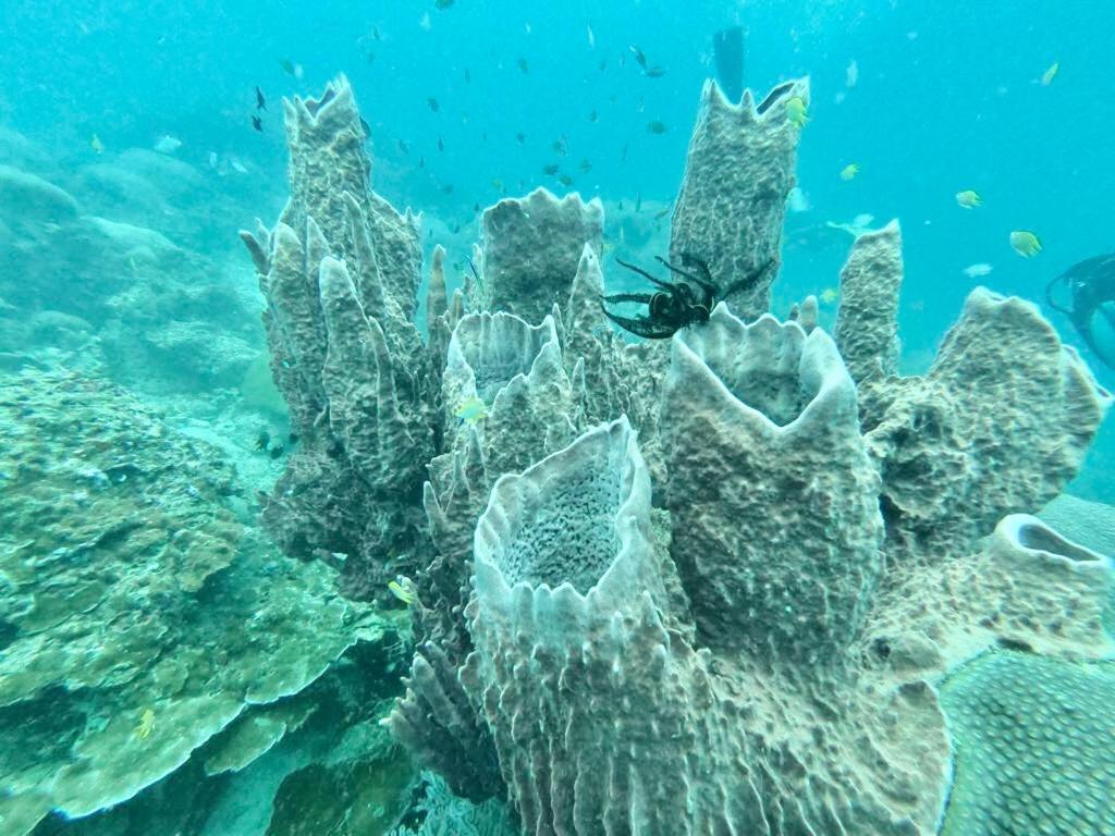 Mook Montra Resort Sea Front, Ko Mook (updated prices 2025)