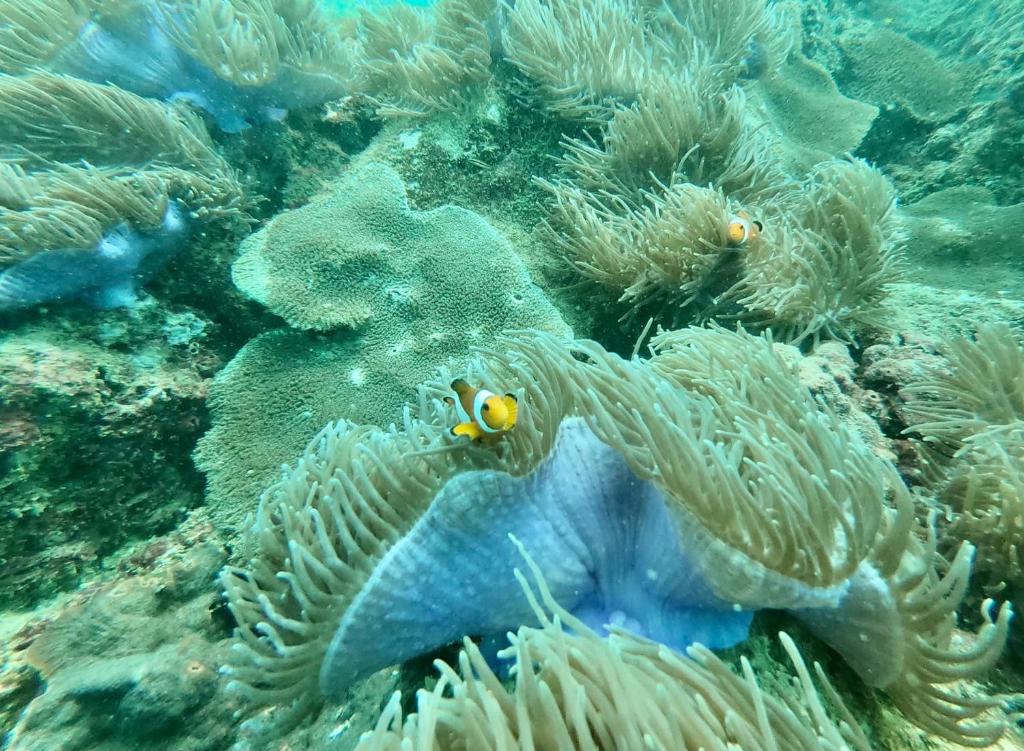 Mook Montra Resort Sea Front, Ko Mook (updated prices 2025)