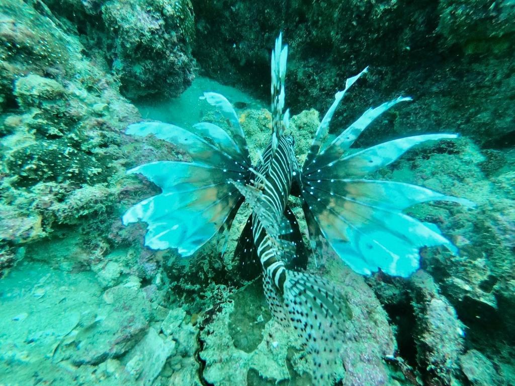 Mook Montra Resort Sea Front, Ko Mook (updated prices 2025)