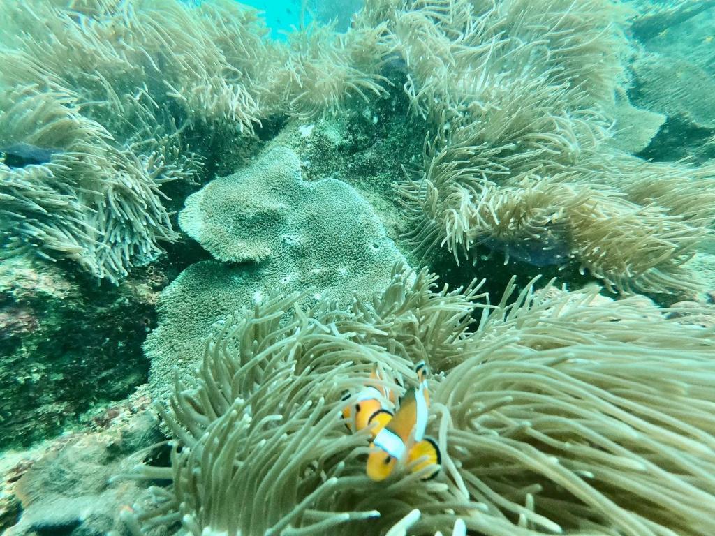 Mook Montra Resort Sea Front, Ko Mook (updated prices 2025)