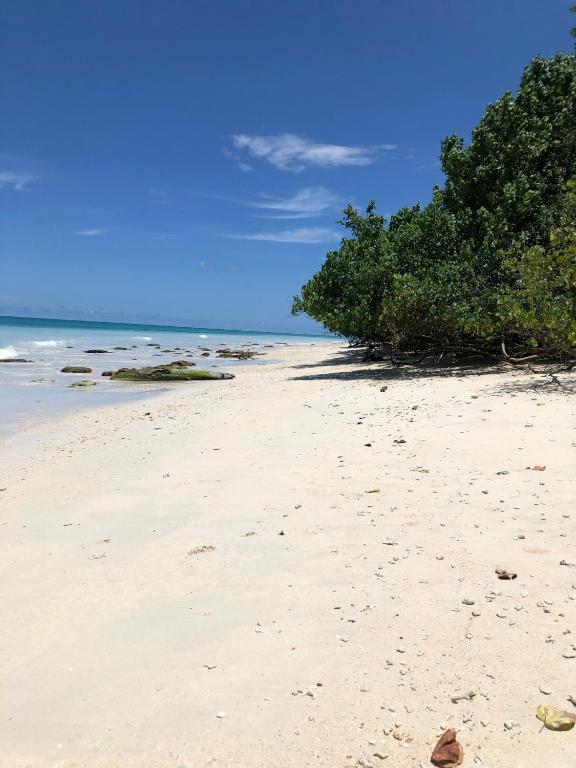 Tilar Siro Andamans - A CGH Earth Experience, Havelock Island (updated ...