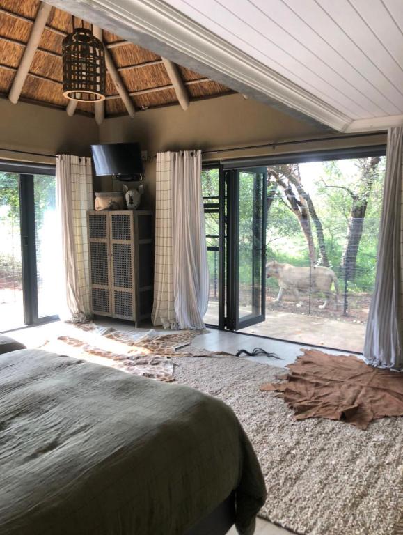 Simba Safaris African Pride Exotic Lodge, Lephalale (updated prices 2025)