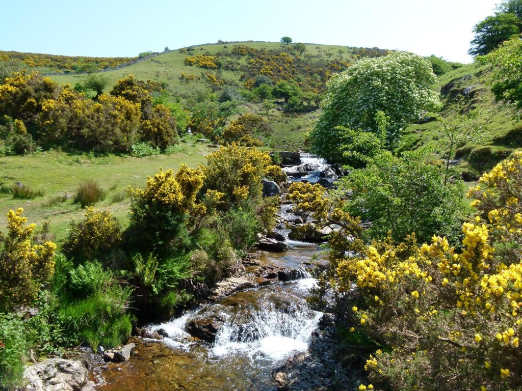 Collaven Manor, Okehampton (updated prices 2025)