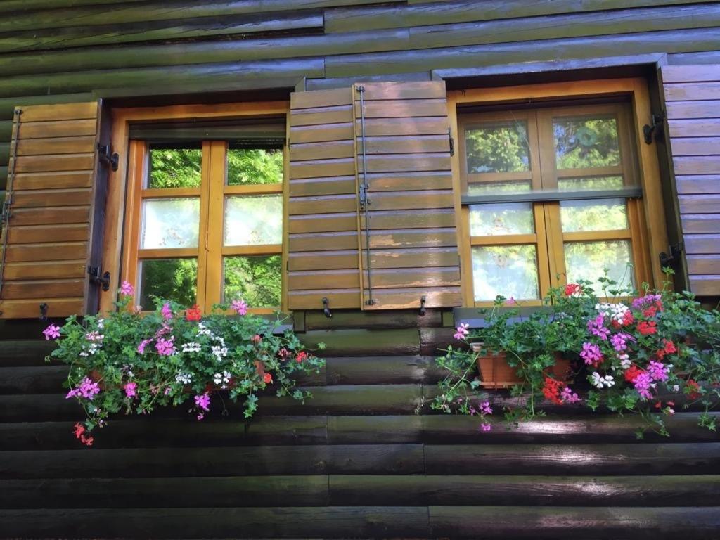 Plitvice Lakes vacation house Snow Hill with jacuzzi and swimming pool ...