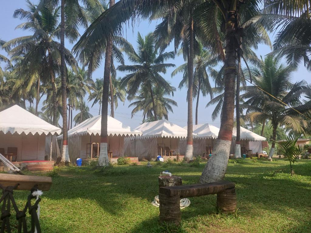 23 Alibaug Resorts (2023) | Updated Deals, Latest Reviews, Photos