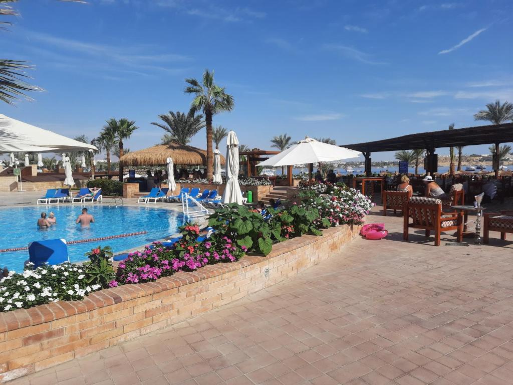 Marina Sharm Hotel, Sharm El Sheikh (updated prices 2025)