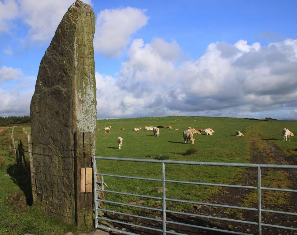 Eluneds Place, Coelbren (updated prices 2025)