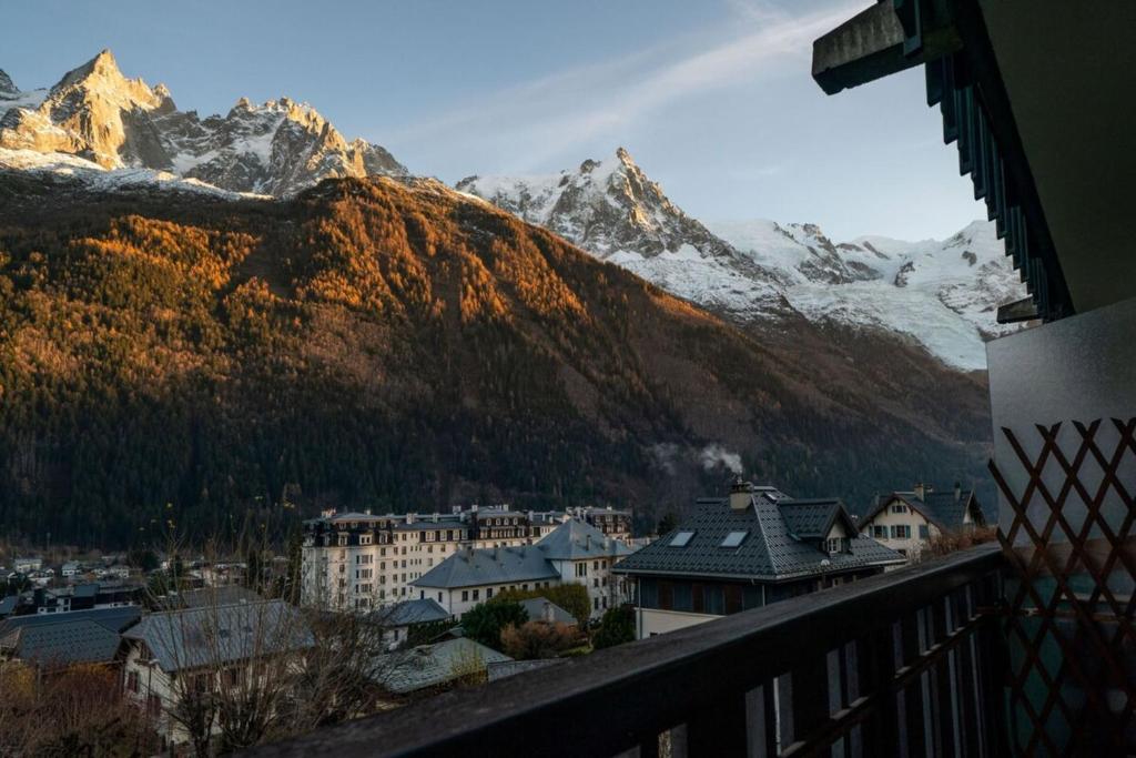 Portes du Brevent -1 bedroom apartment with magnificient Mont Blanc ...