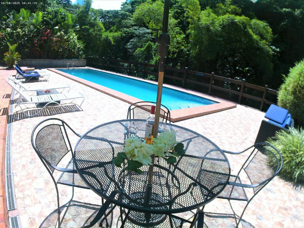 Poolside Waterfall Apartment - Sainte-Lucie