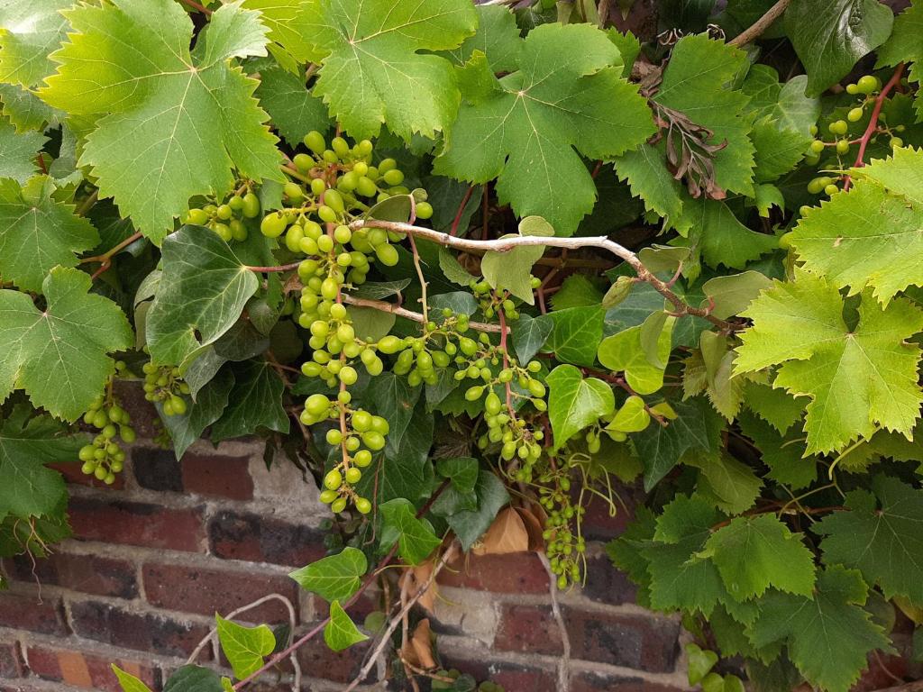 The Pool Cottage, Fish Hoek – Precios actualizados 2022