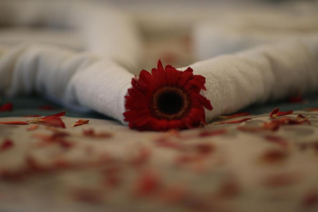 Palestine Plaza Hotel, Ramallah (updated prices 2025)