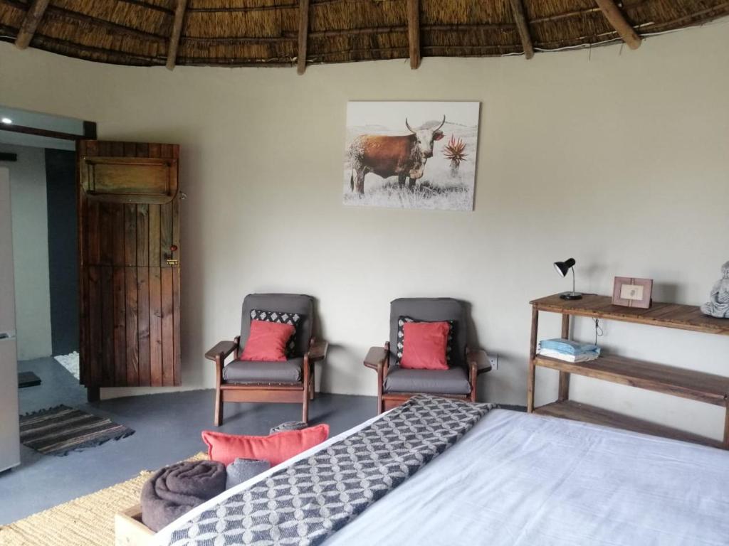 Ikaya Accommodation PSJ, Port St. Johns (updated prices 2025)