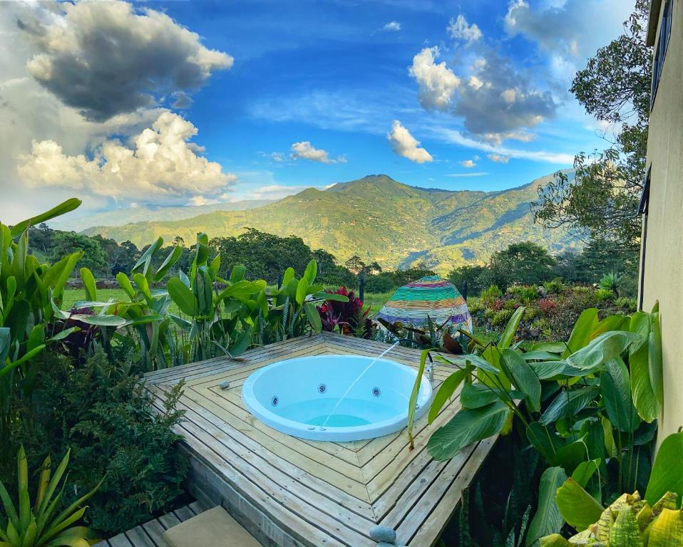 The 41 Most Beautiful Glampings in Colombia You Should Know | Pelecanus