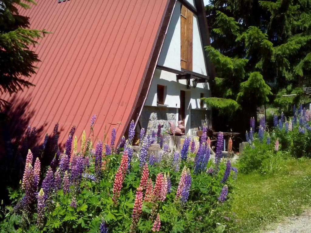 Vikend Kuca Milica, Kopaonik (updated prices 2025)