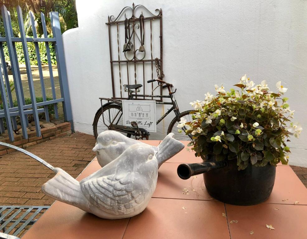 De Witte Loft, Newcastle (updated prices 2025)