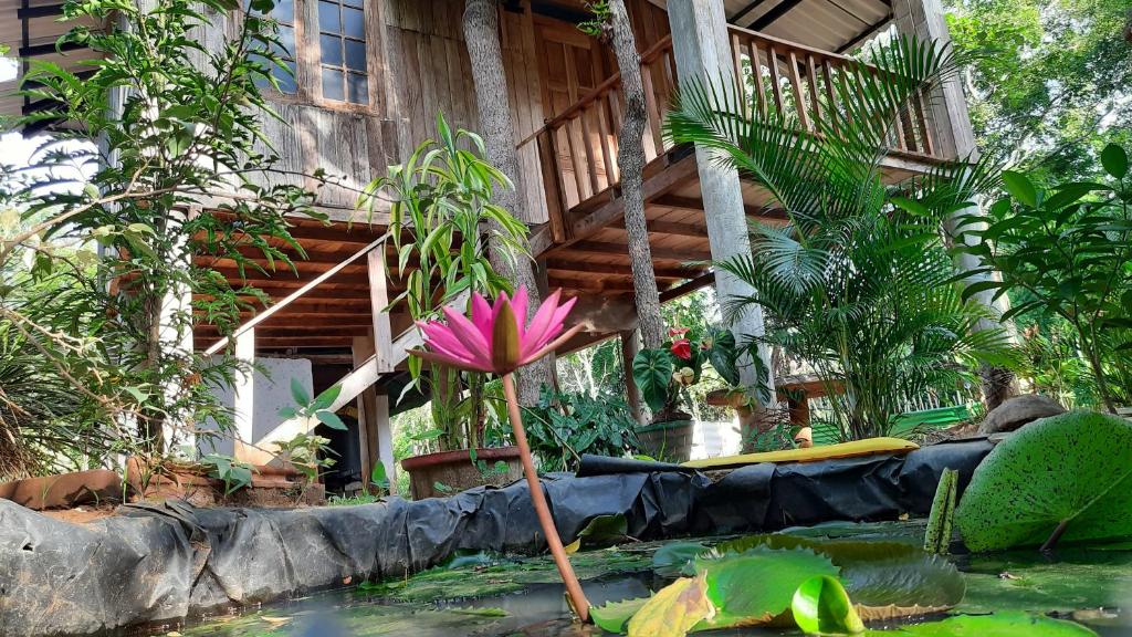 Ruk Sewana Villa Tree House, Sigiriya – Updated 2023 Prices