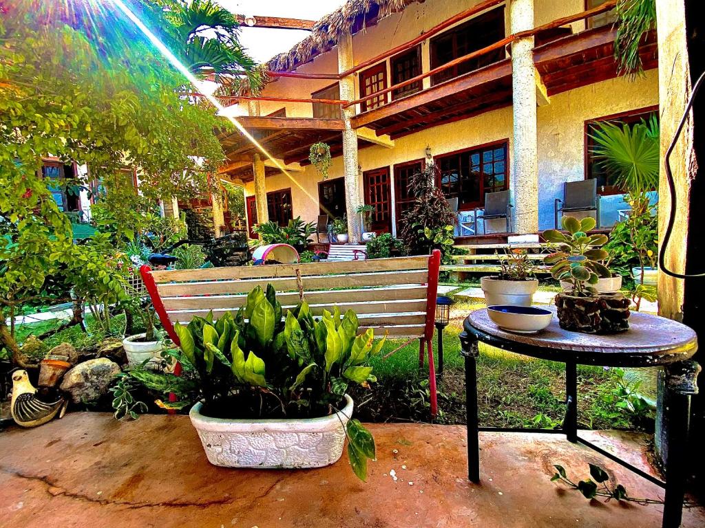 Don Panchon y Maruxa, Holbox Island (updated prices 2025)