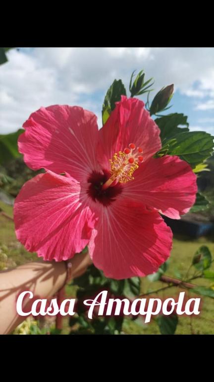 Casa de Montaña Amapola, San Isidro (precios actualizados 2024)