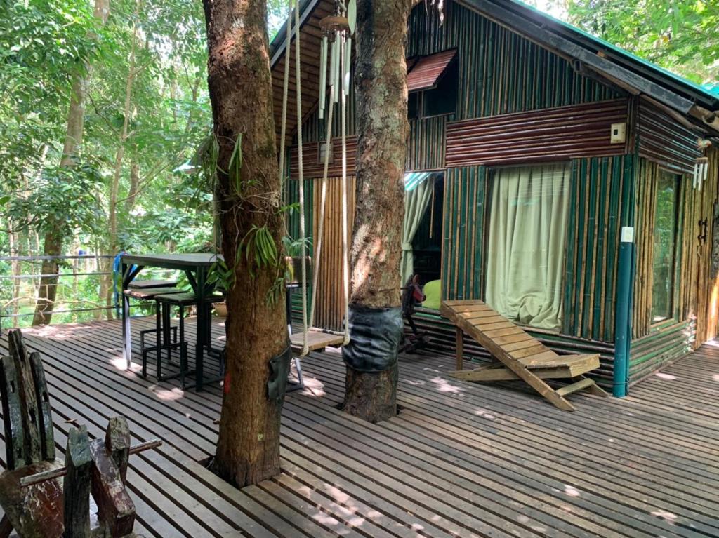 Khao Sok National Park Tree House