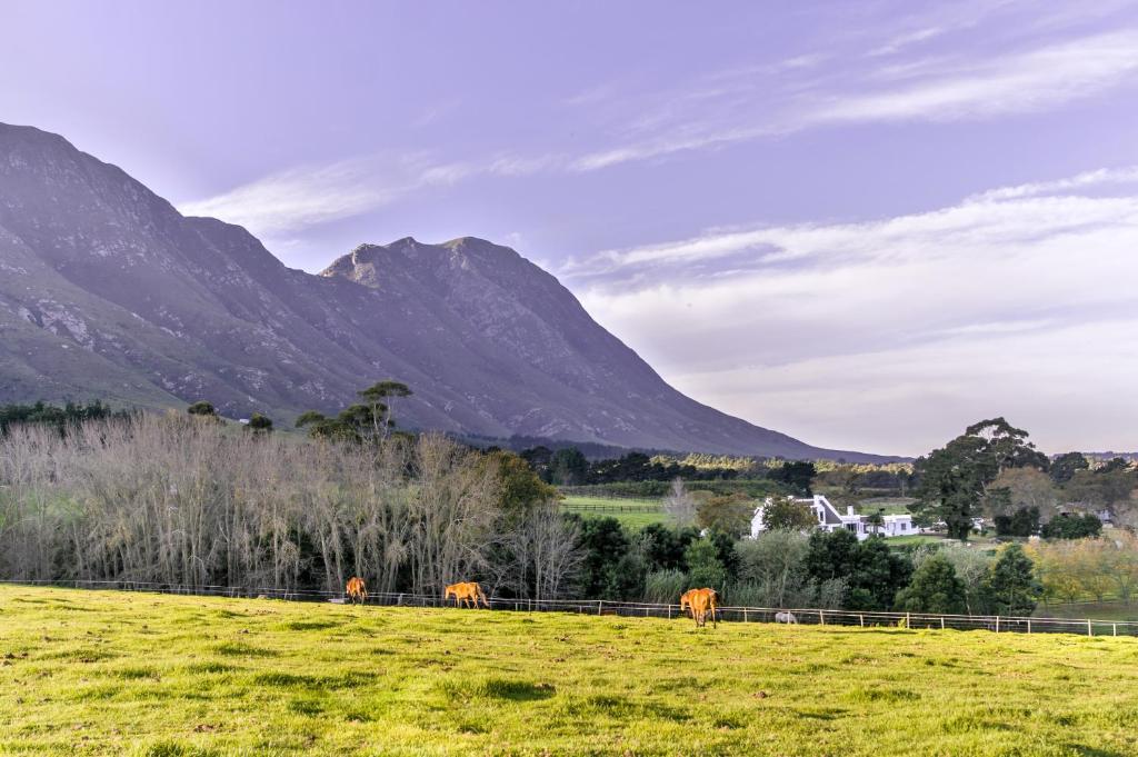 Hemel 'N Aarde Stud, Hermanus (updated prices 2026)